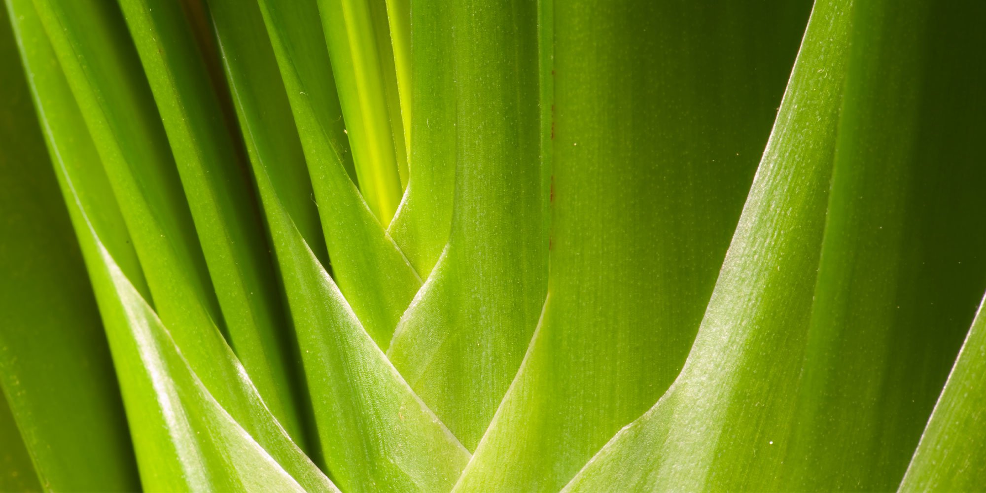 Articles | Commerce Trust